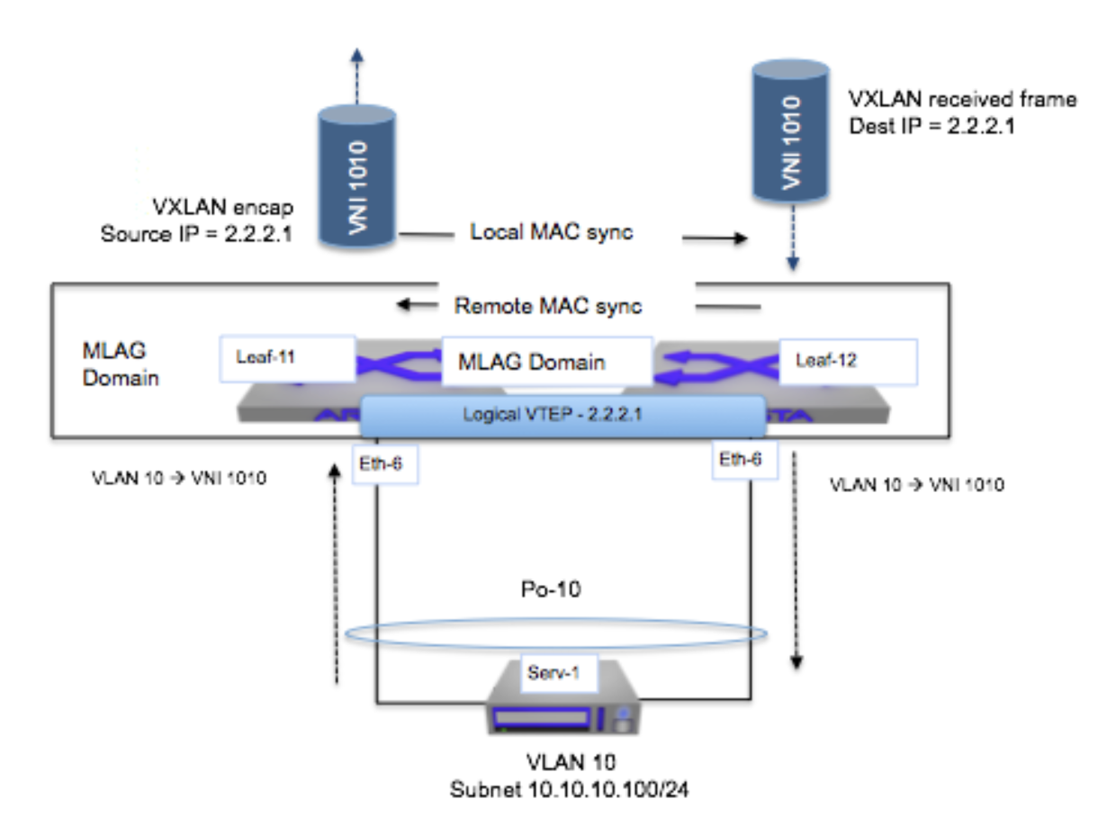 VXLAN Routing with MLAG