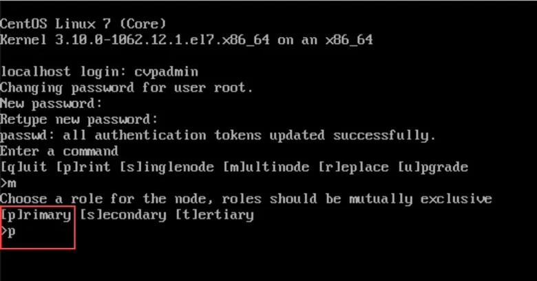 Multi-Node CVP installation over ESXi 7.x
