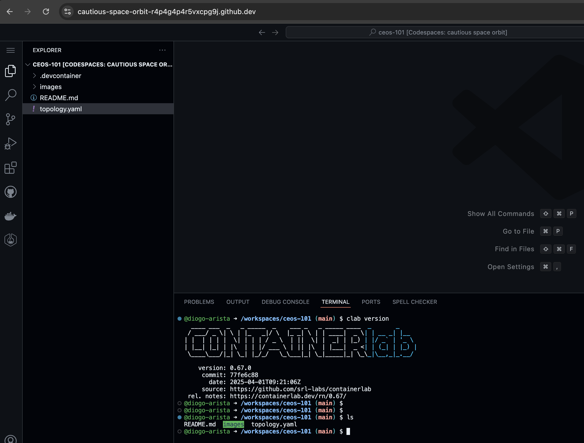 cEOS-lab in Github Codespaces