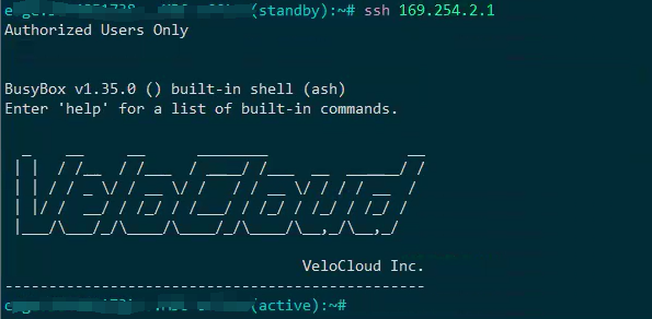 VeloCloud SD-WAN Diagnostic Bundle only contains the bundle of active ...