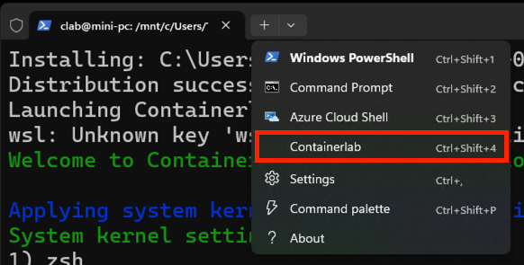 cEOS and Containerlab on Windows WSL