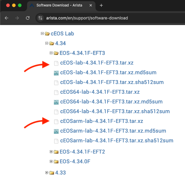 Getting Started with cEOS-lab in Containerlab